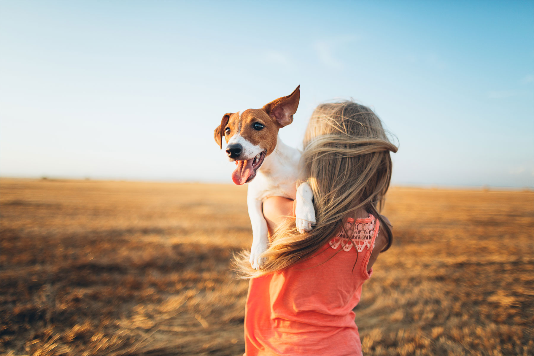 Life’s Better with a Companion — Olympia Federal Savings