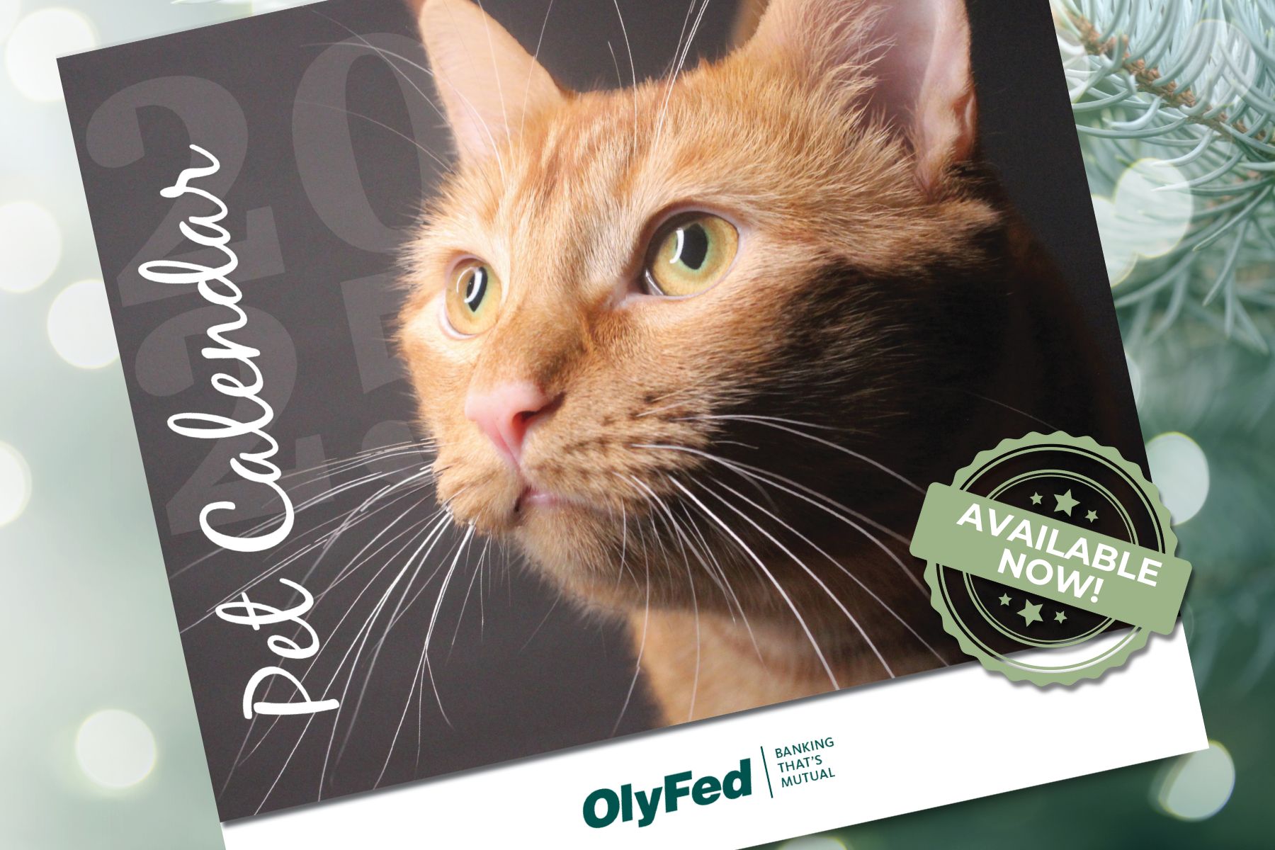 2025 Pet Calendars Have Arrived — Olympia Federal Savings
